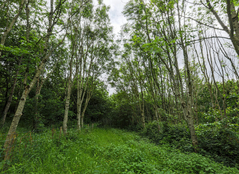 Waste Management Service in South Wales - GD Environmental